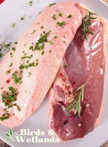 Swan Delicacies: Is It Ethical and Safe to Eat Them? - Birds & Wetlands