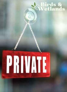 Can You Buy Swans? Are Swans Actually for Sale? - Birds & Wetlands